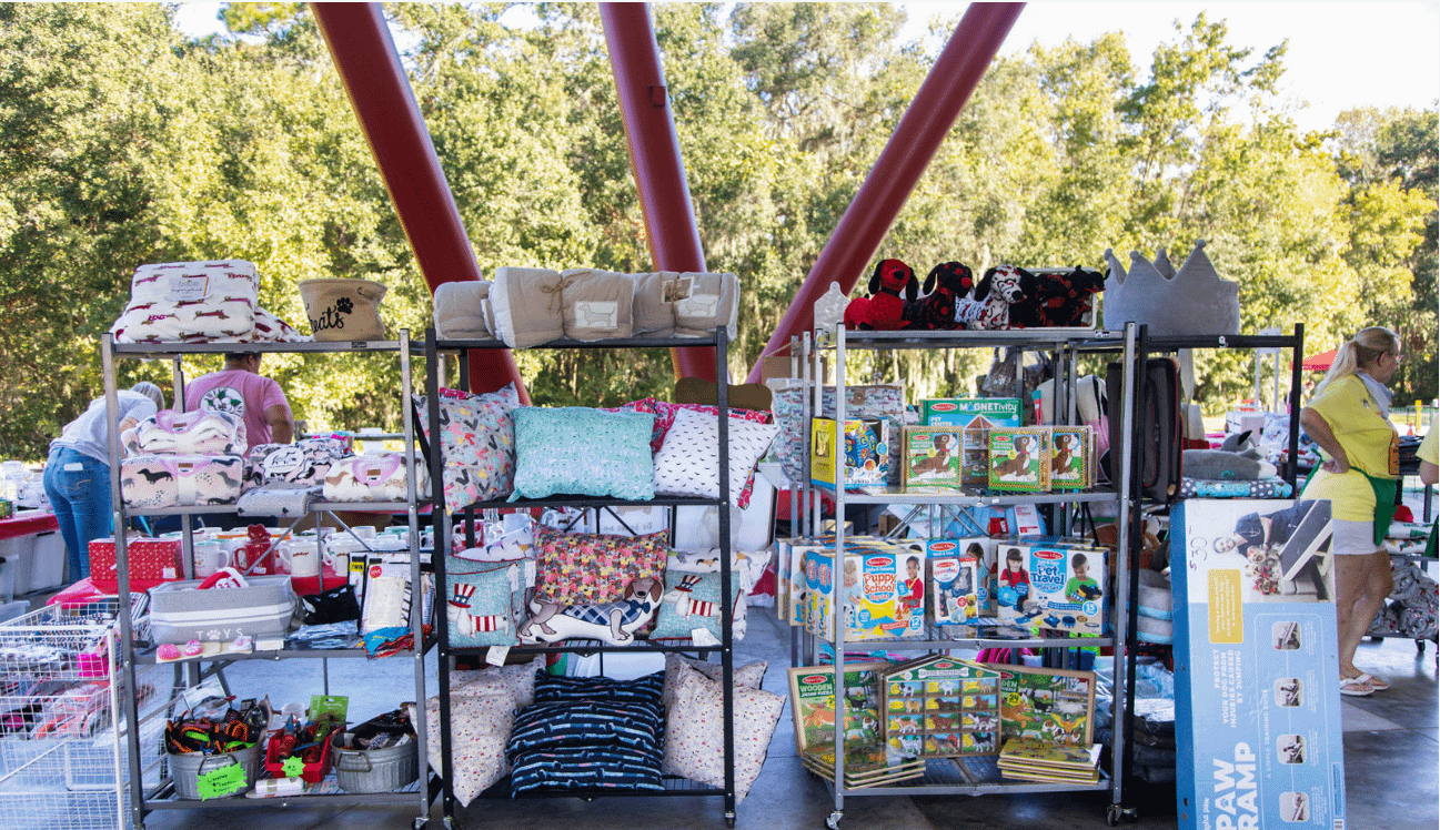 About Dox-a-Palooza – DARE to Rescue